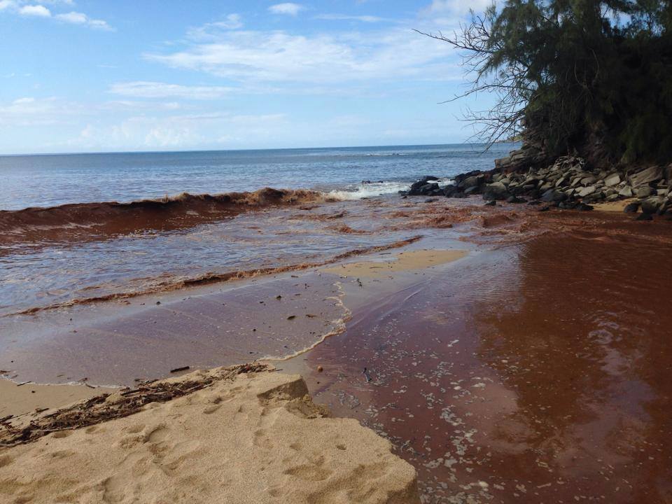 Maui needs to do better job to prevent muddy runoff – Sierra Club Maui ...
